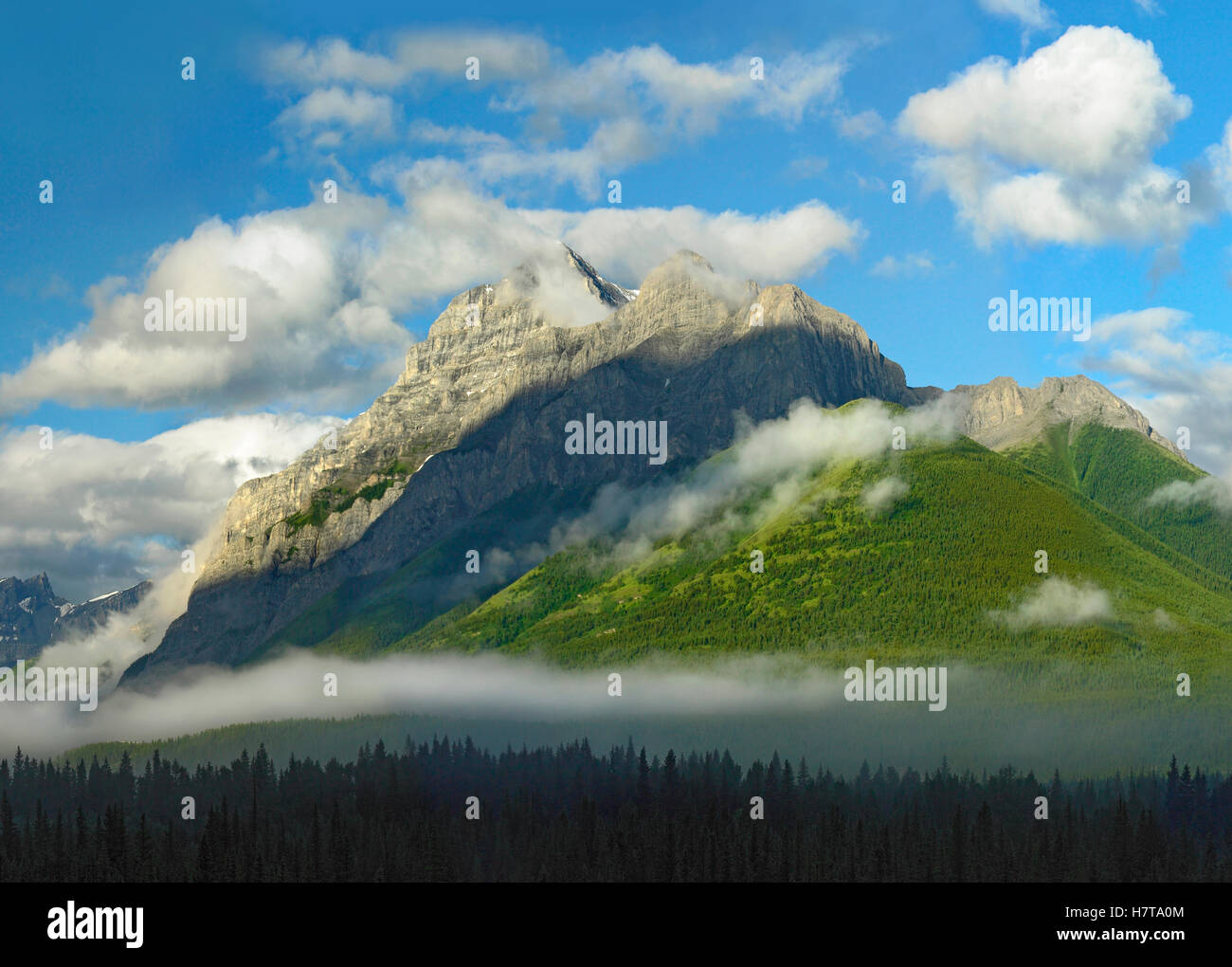 Mt Kidd with slopes covered in coniferous forest, Kananaskis Country ...