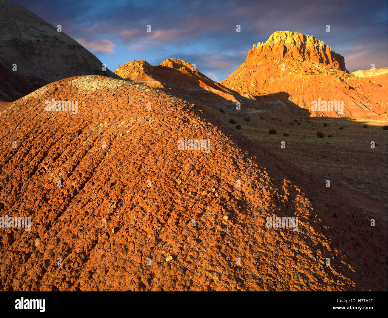 Desert near Albuquerque, New Mexico Stock Photo - Alamy
