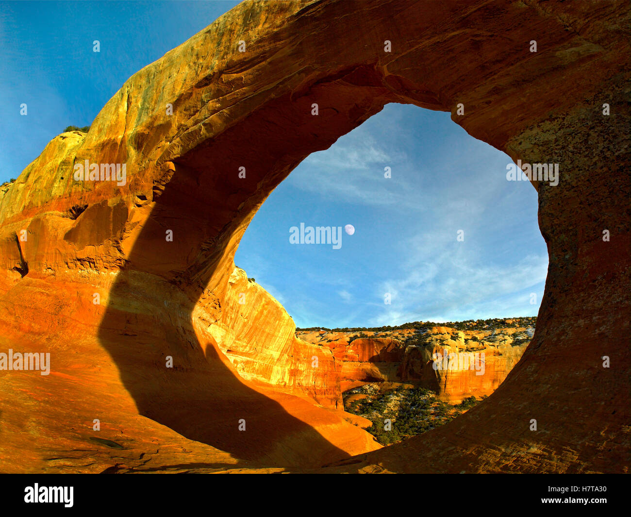 Wilson Arch with a span of 91 feet and height of 46 feet, off of ...