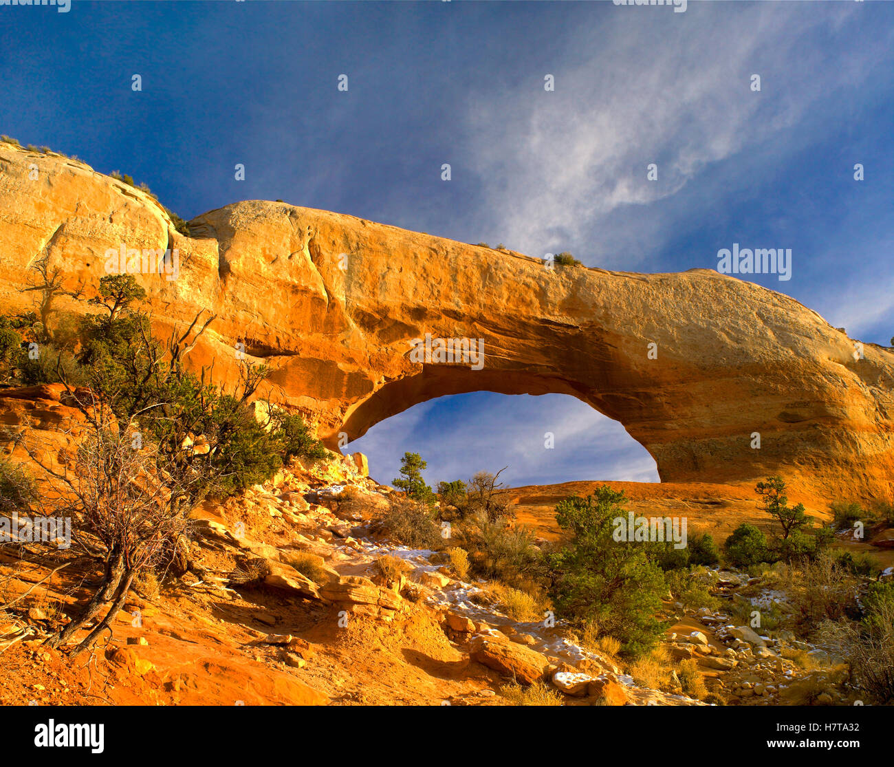 Wilson arch with a span of 91 feet and height of 46 feet, off of ...