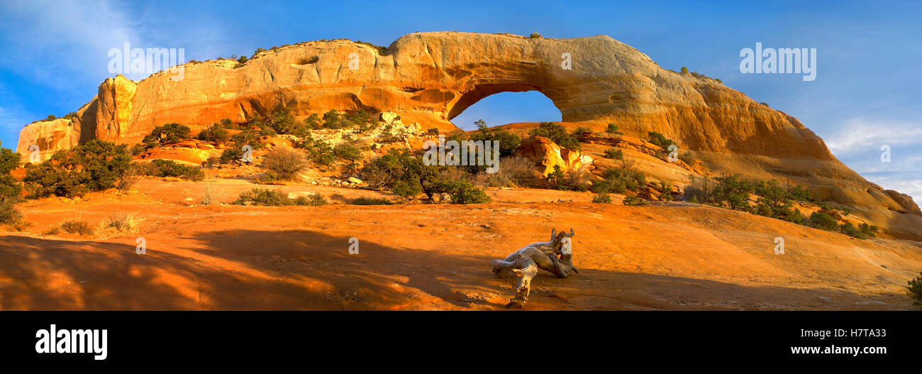 Wilson arch with a span of 91 feet and height of 46 feet, off of ...