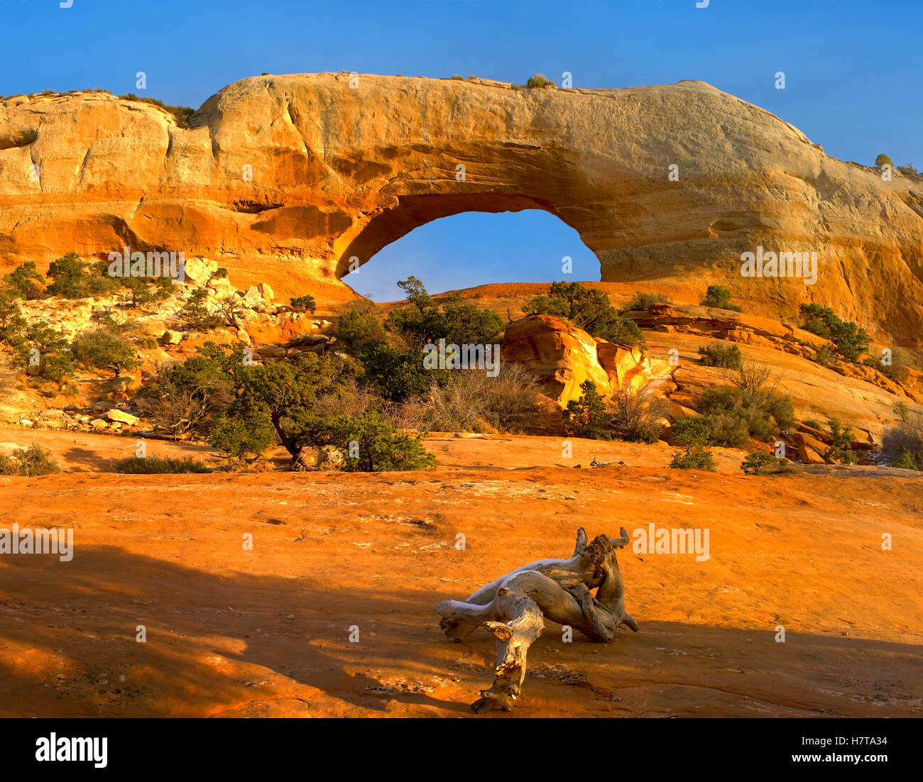 Wilson arch with a span of 91 feet and height of 46 feet, off of ...