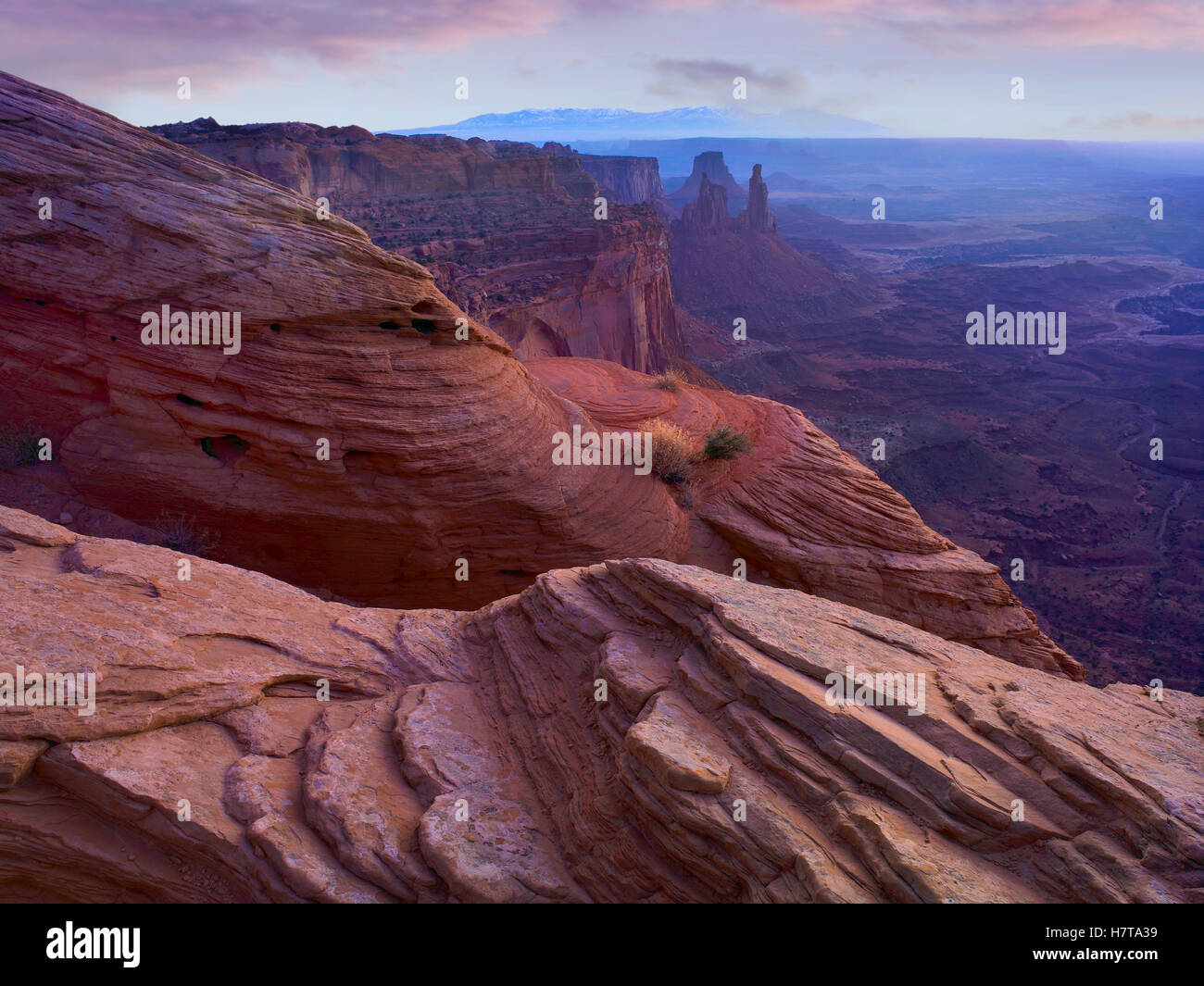Overlooking canyon from sandstone cliffs, Canyonlands National Park ...