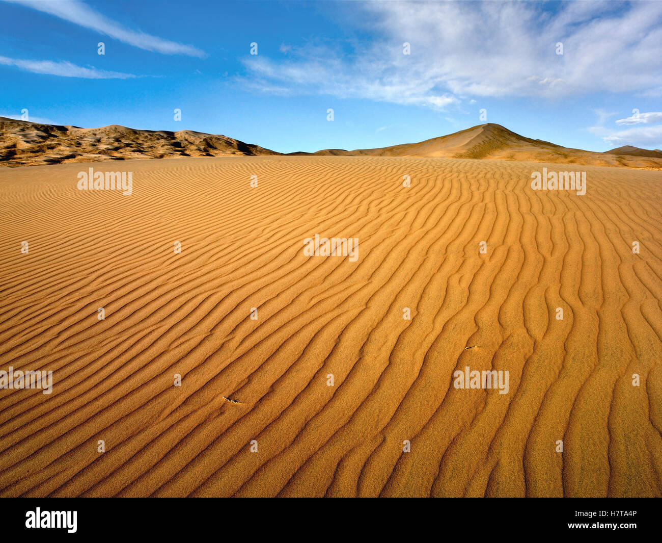 Wind ripples in Kelso Dunes, Mojave National Preserve, California Stock ...