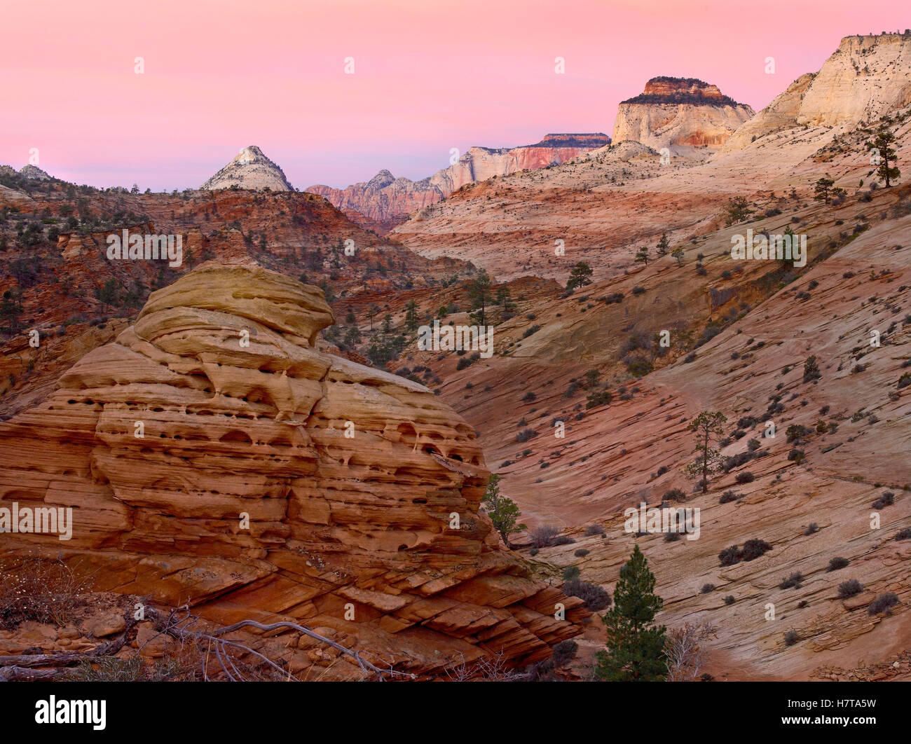 East and West Temples showing sedimentary rocks including white Navajo ...