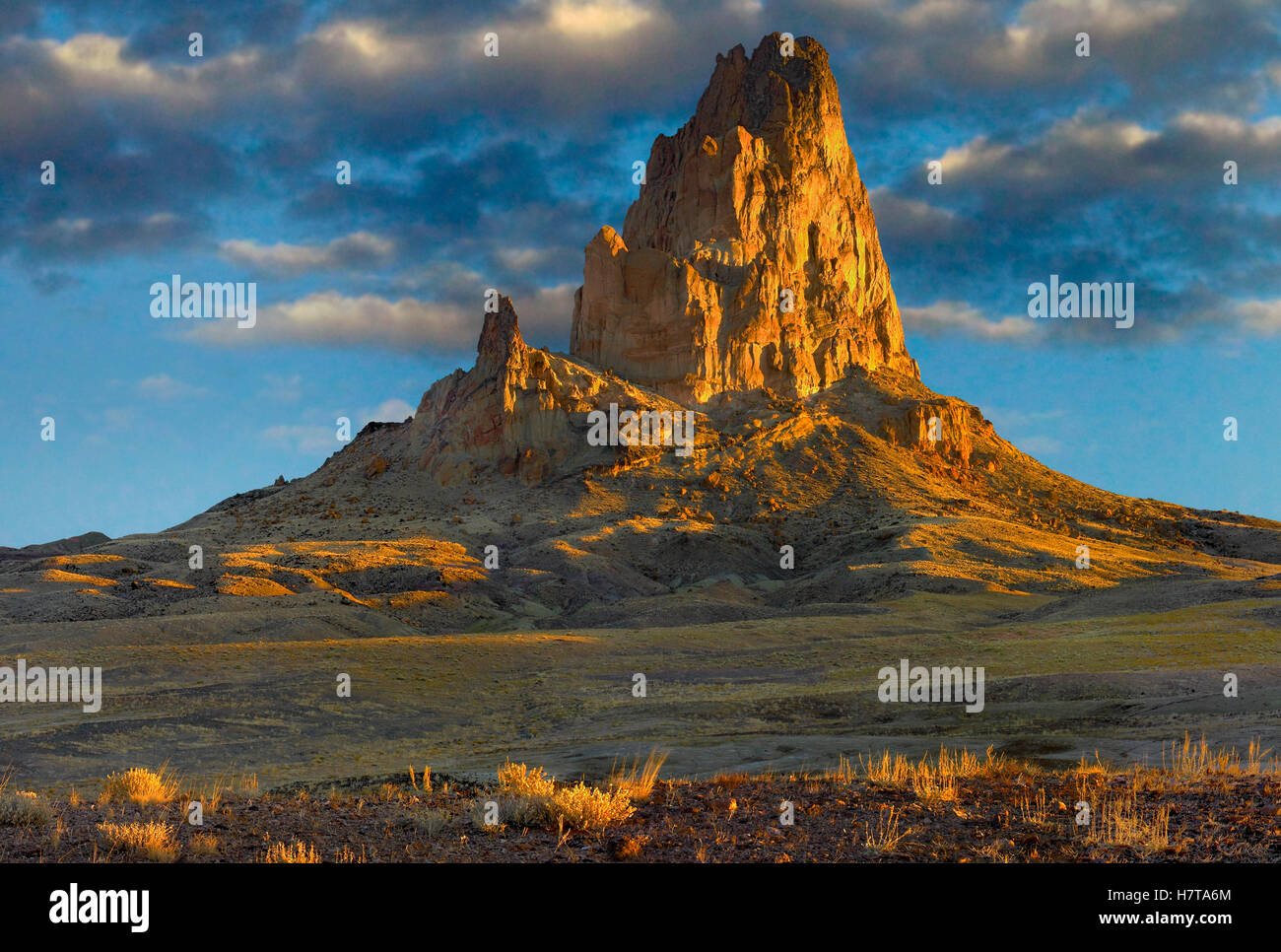 El Capitan, also known as Agathla Peak, the basalt core of an extinct ...