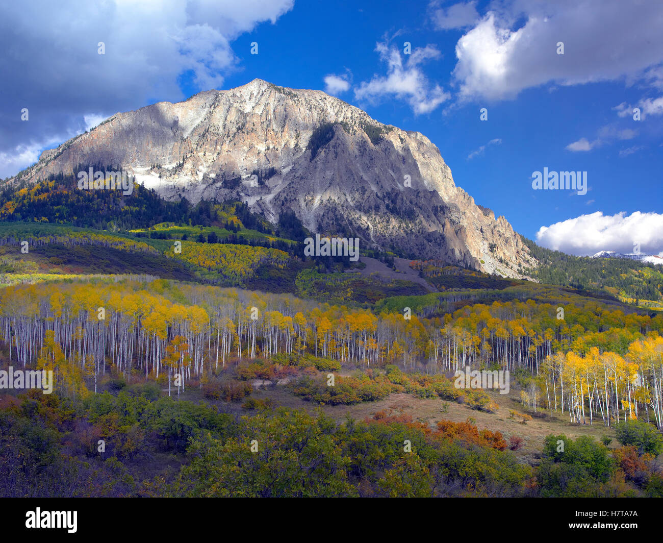 Fall colors at Gunnison National Forest, Colorado Stock Photo - Alamy