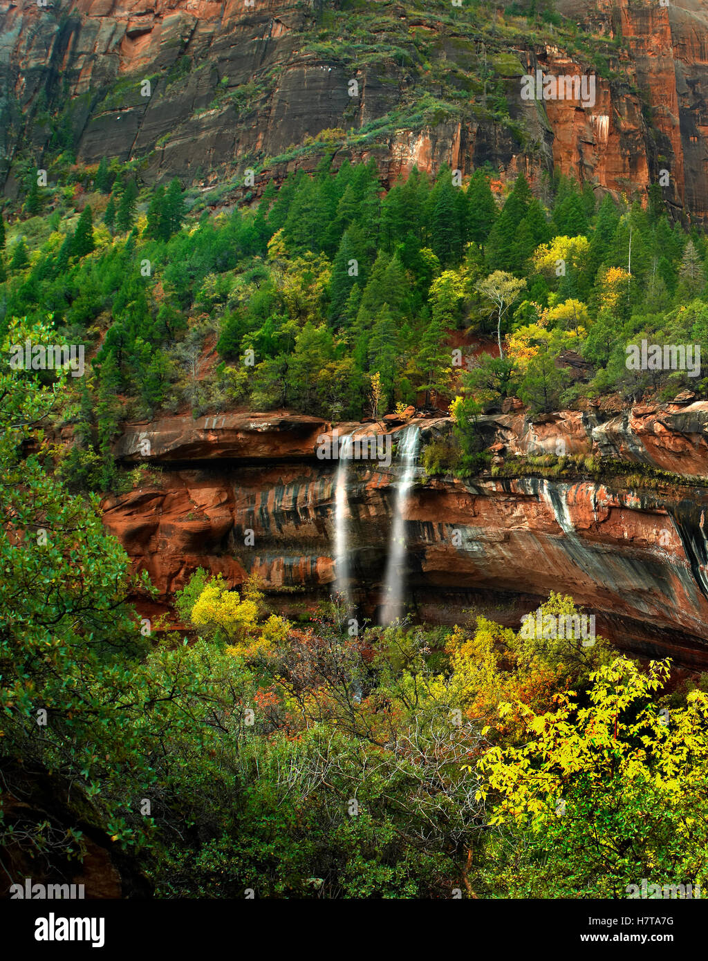 Cascades at Emerald Pools, Zion National Park, Utah Stock Photo - Alamy