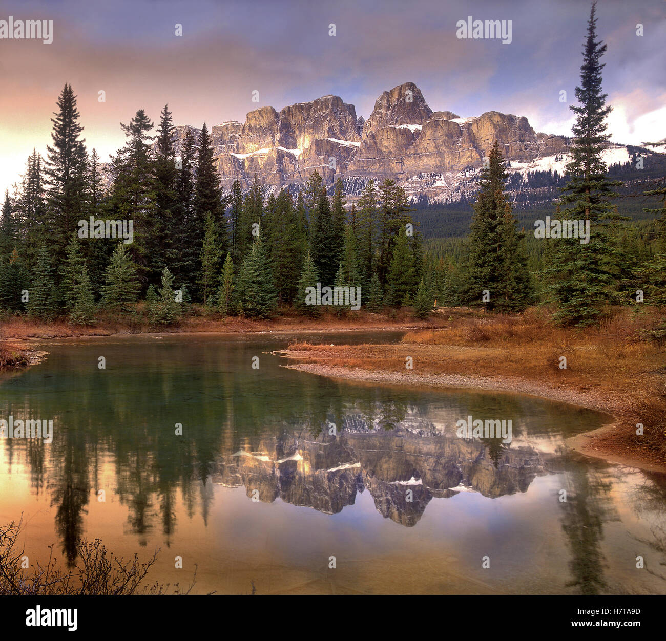Castle Mountain and boreal forest reflected in lake, Banff National ...