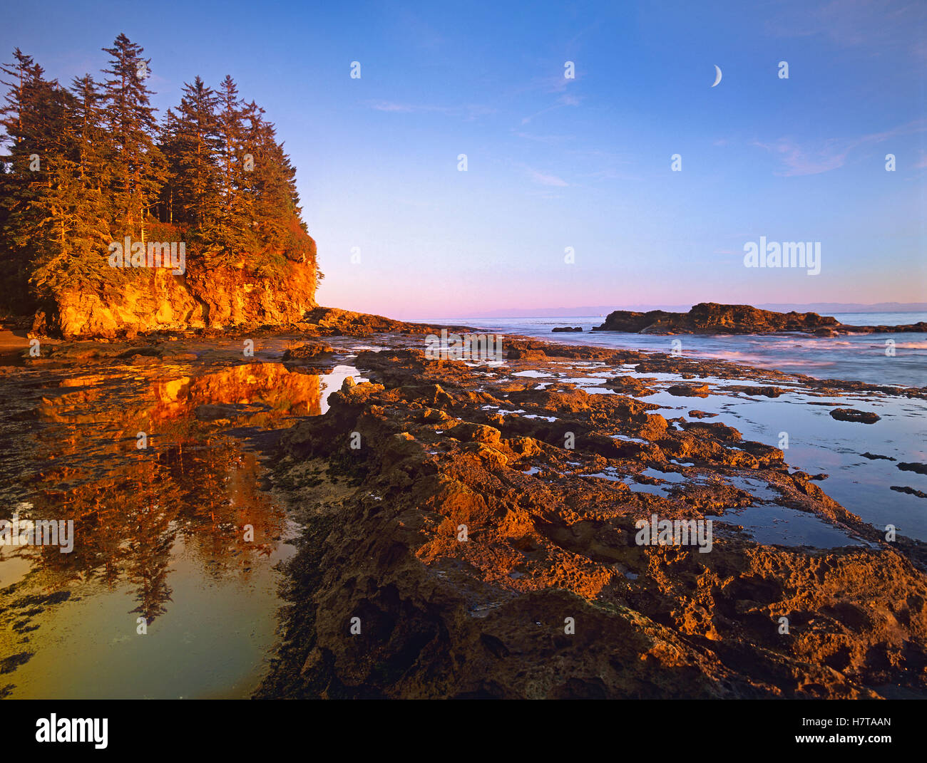 Tidepools Exposed At Low Tide Botanical Beach Juan De Fuca Provincial