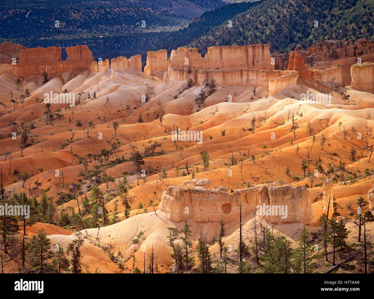 Landscape of eroded formations called hoodoos and fins, Bryce Canyon ...