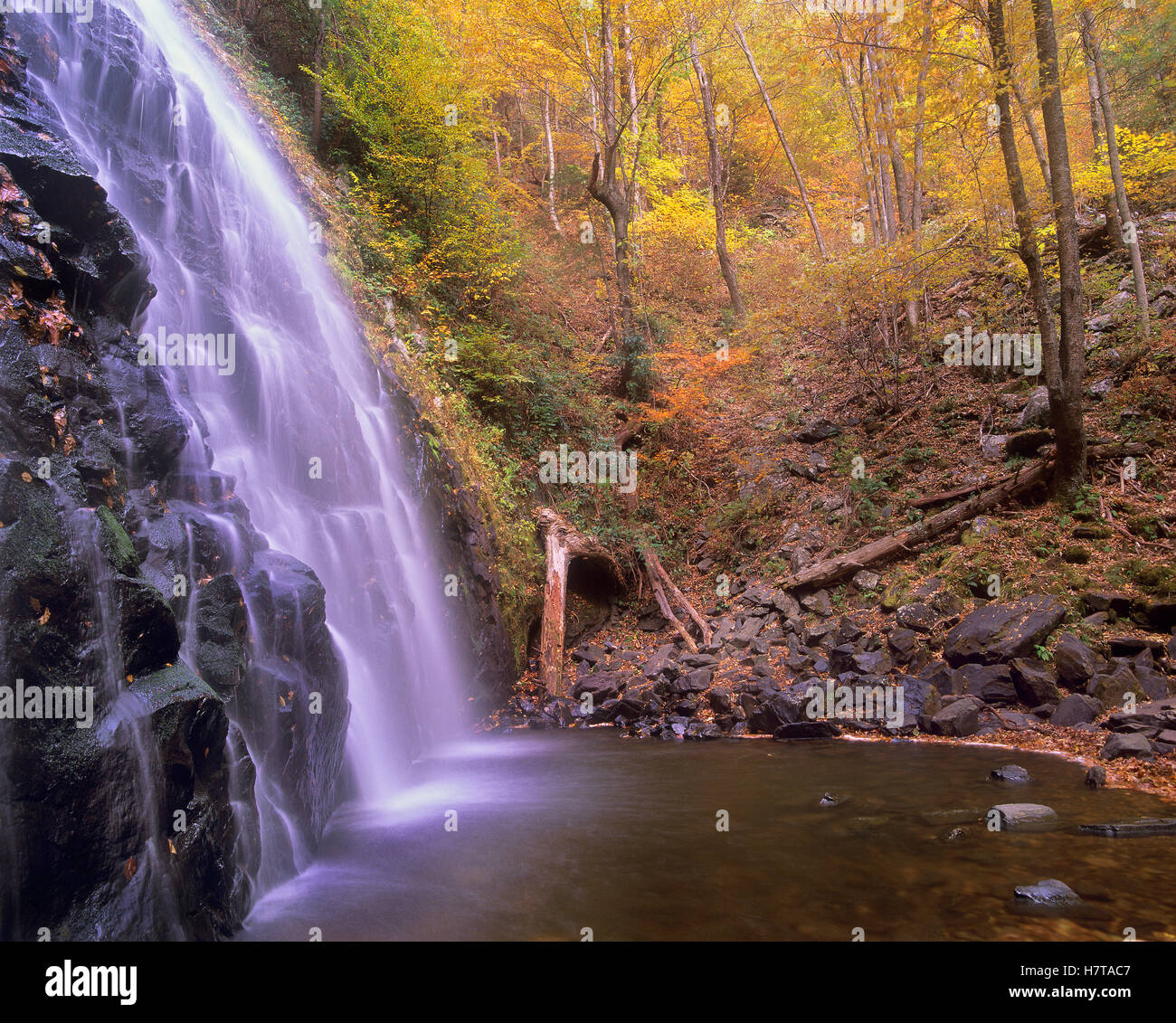 Crabtree Falls cascading into stream in autumn forest, Blue Ridge ...