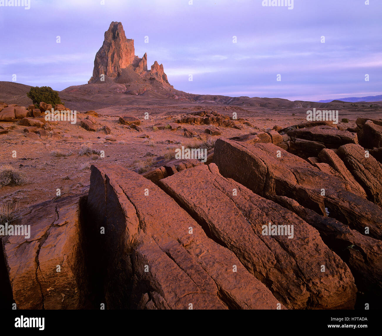 Agathla Peak, the basalt core of an extinct volcano, Monument Valley ...