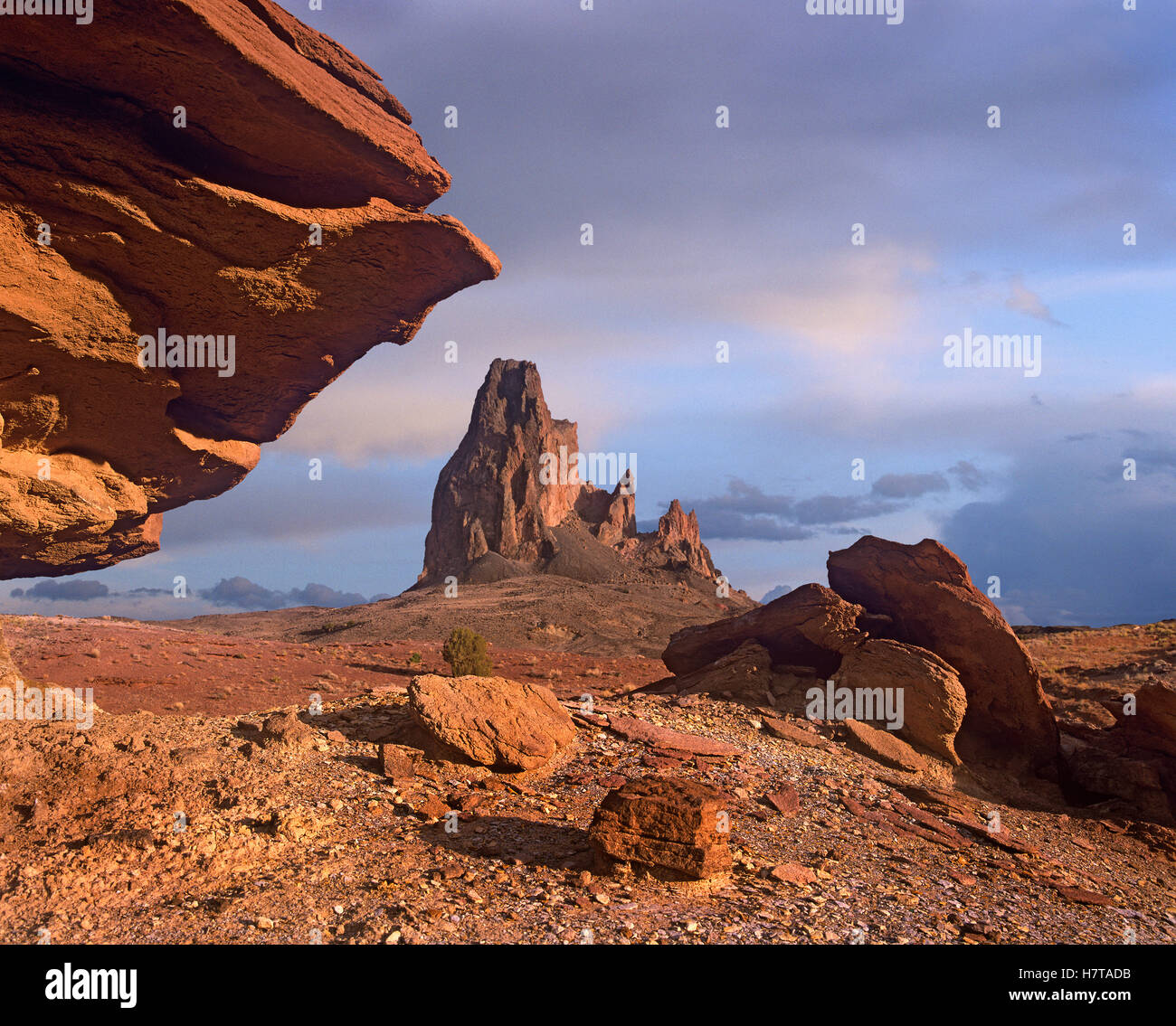 Agathla Peak, the basalt core of an extinct volcano, Monument Valley ...