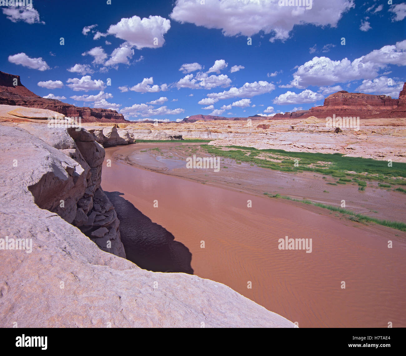 Silted river flowering through Glen Canyon National Recreation Area ...