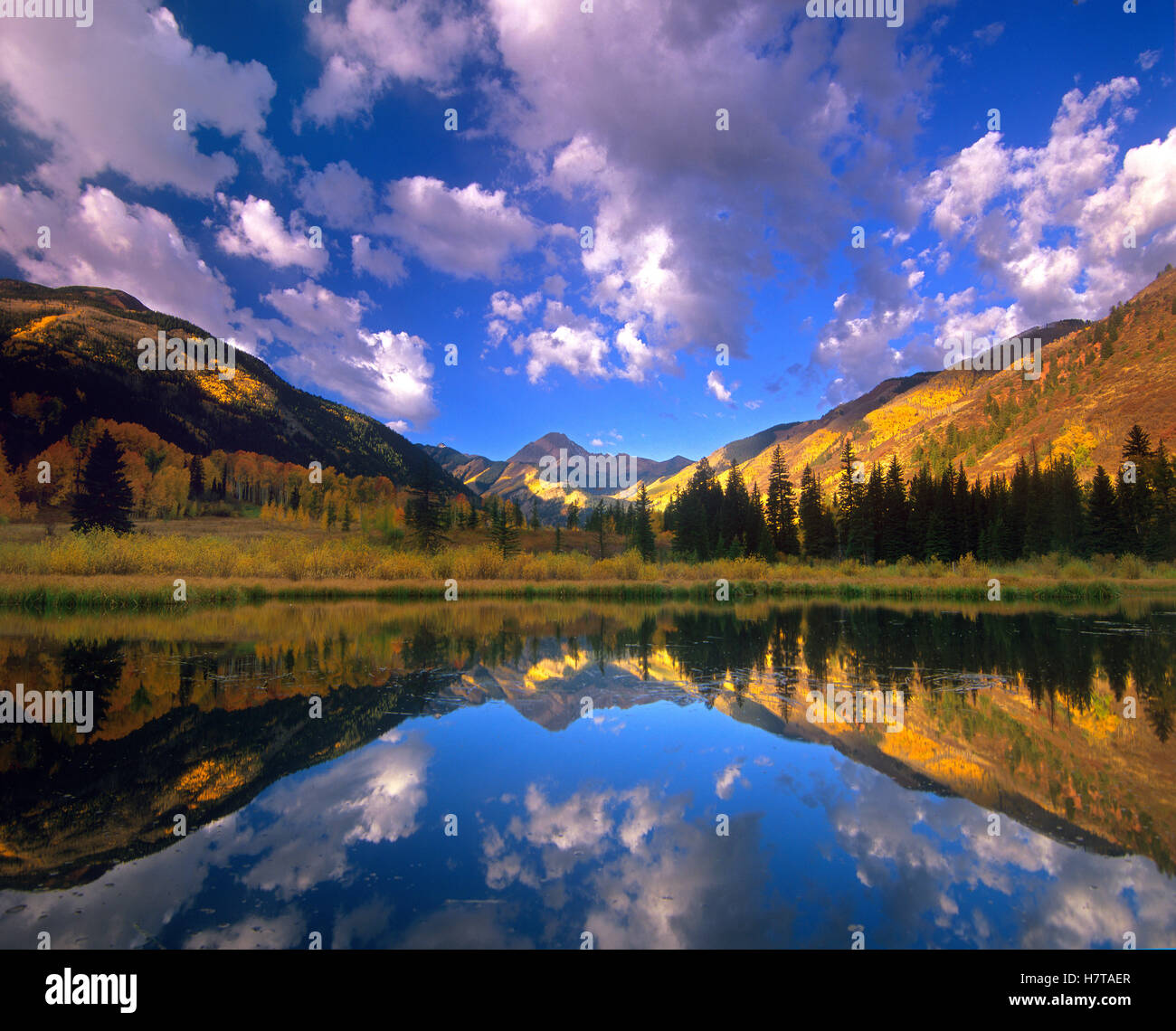 Haystack Mountain reflected in beaver pond, Maroon Bells, Snowmass ...