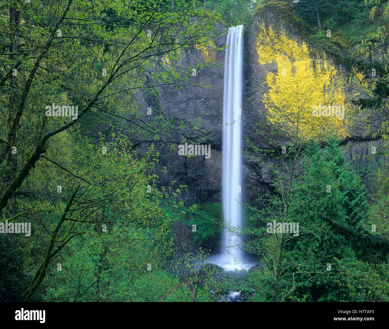 Latourell Falls, Columbia River Gorge near Portland, Oregon Stock Photo ...