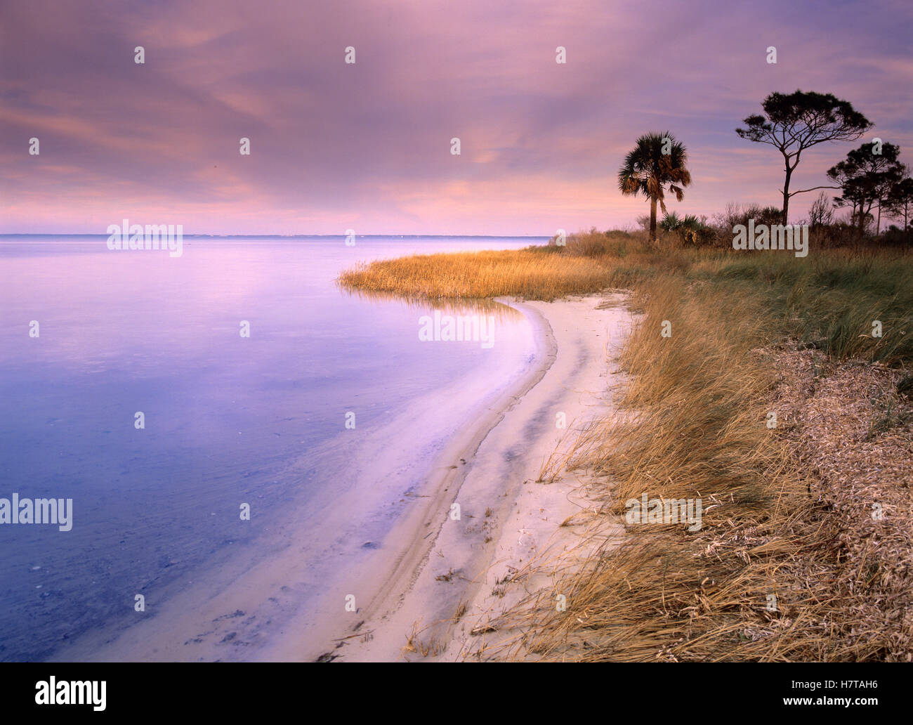 Beach along Saint Joseph's Bay, Florida Stock Photo - Alamy