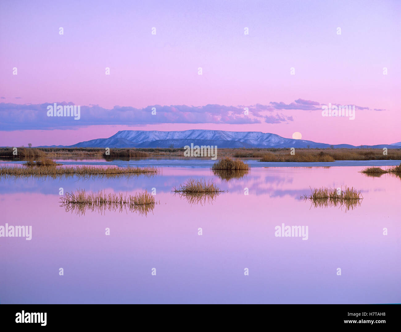 Full moon rising over Sangre de Cristo Mountain Range, Alamosa National ...