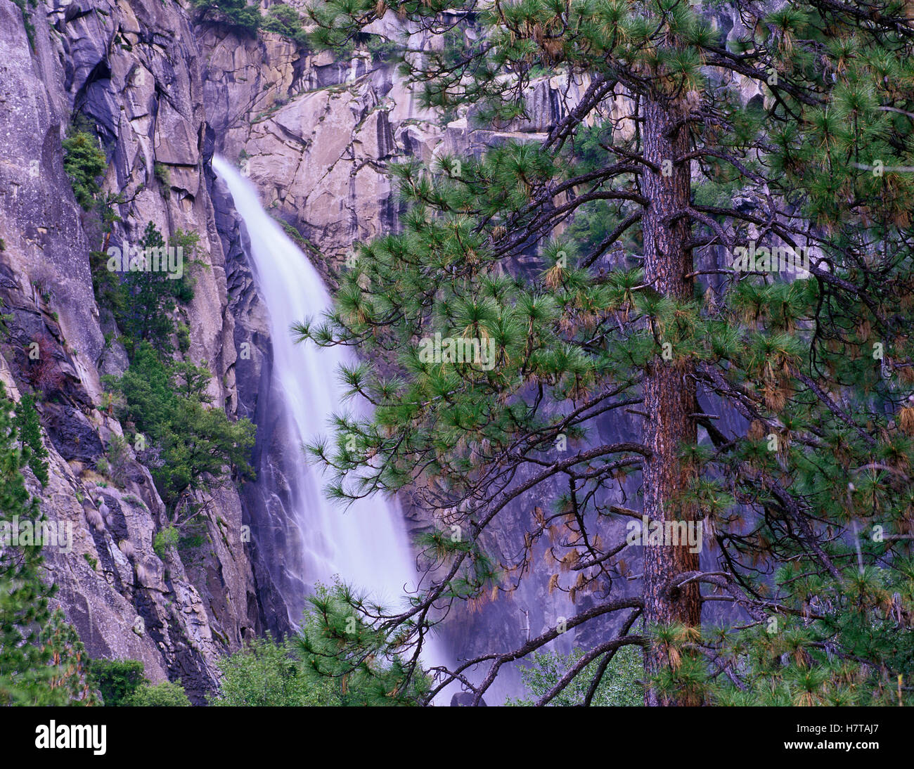 The Cascades from Yosemite National Park, California Stock Photo - Alamy