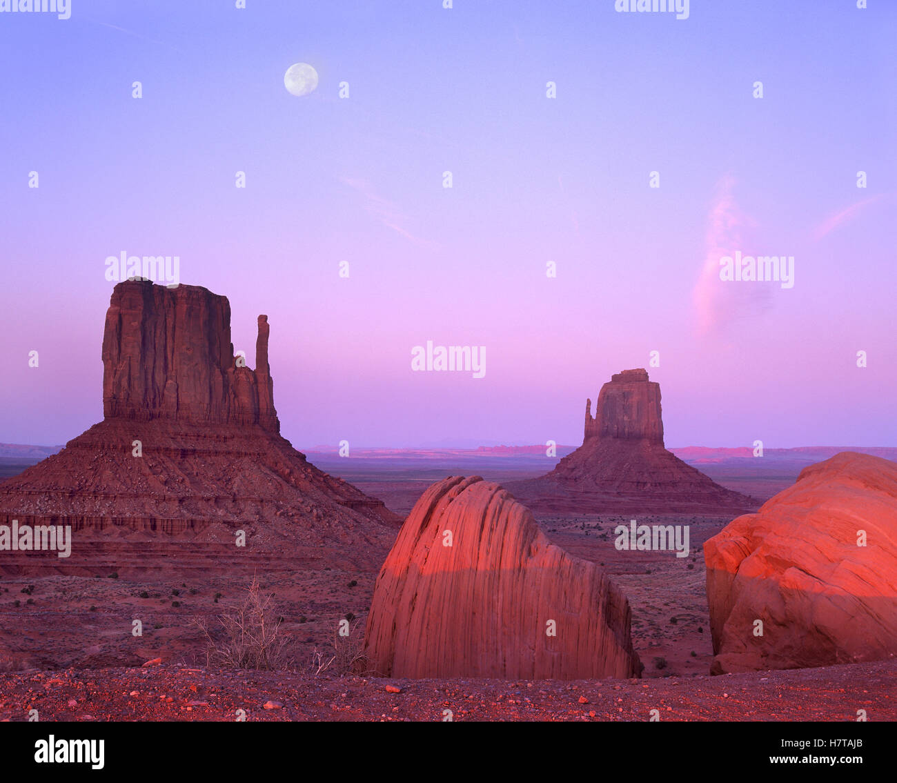 East and West Mittens, buttes at sunrise with full moon, Monument ...