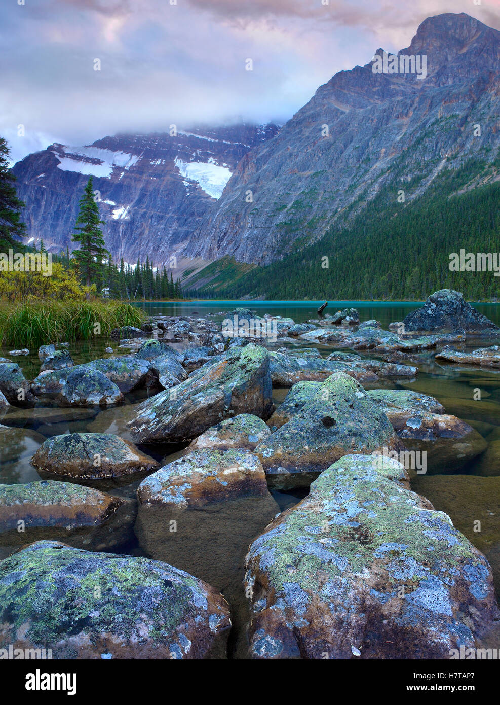 Mount Edith Cavell and Cavell Lake, Jasper National Park, Alberta ...