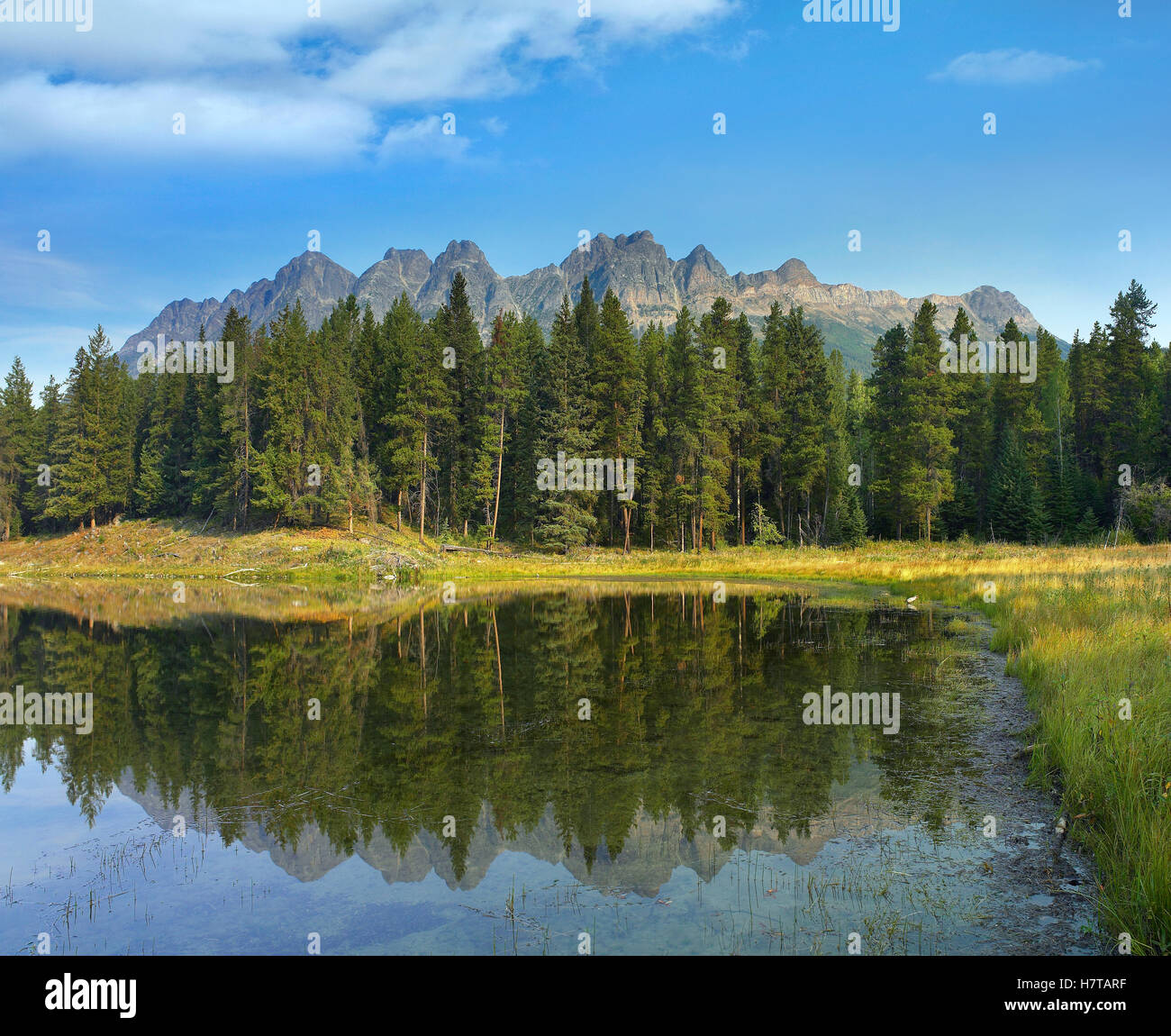 Yellowhead Mountain and Yellowhead Lake with boreal forest, Mount ...