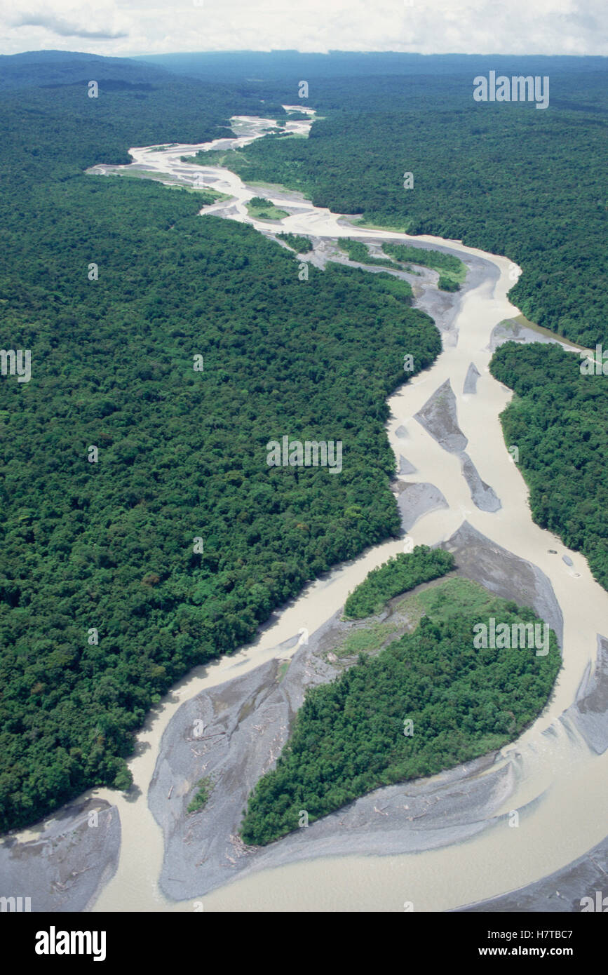 Aerial view of braided river channel through rainforest, Lake Kutubu ...
