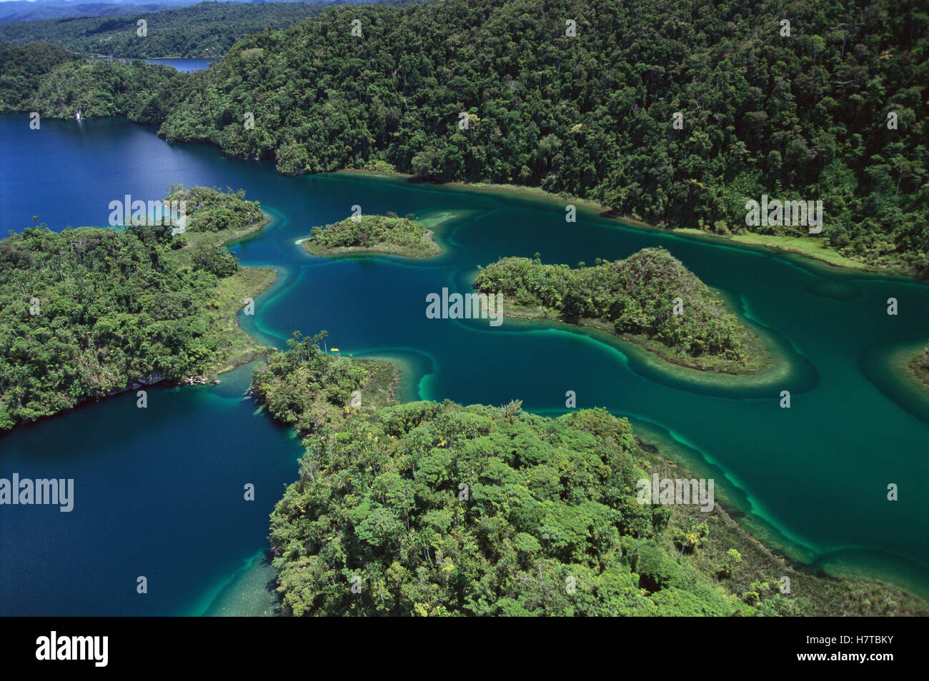 Islands at southeast end of Lake Kutubu in highlands, Papua New Guinea ...