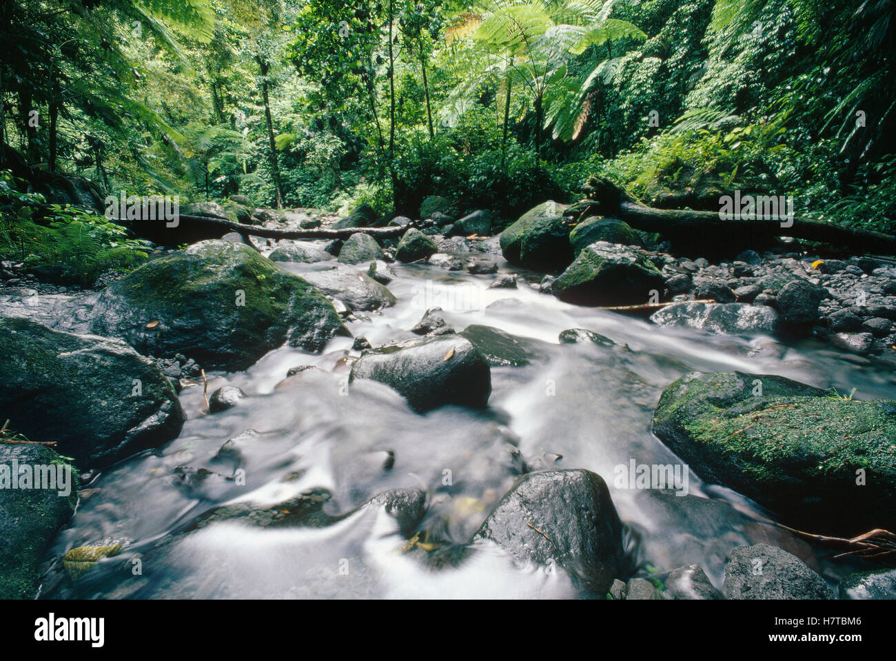 Gorges de la Falisa showing stream in tropical rainforest interior ...