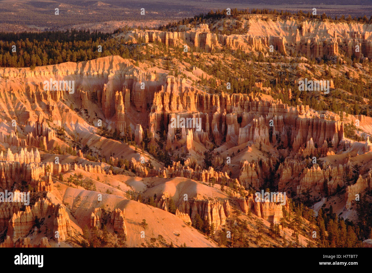 Hoodoo formations in Bryce Amphitheater from Bryce Point, Bryce Canyon ...