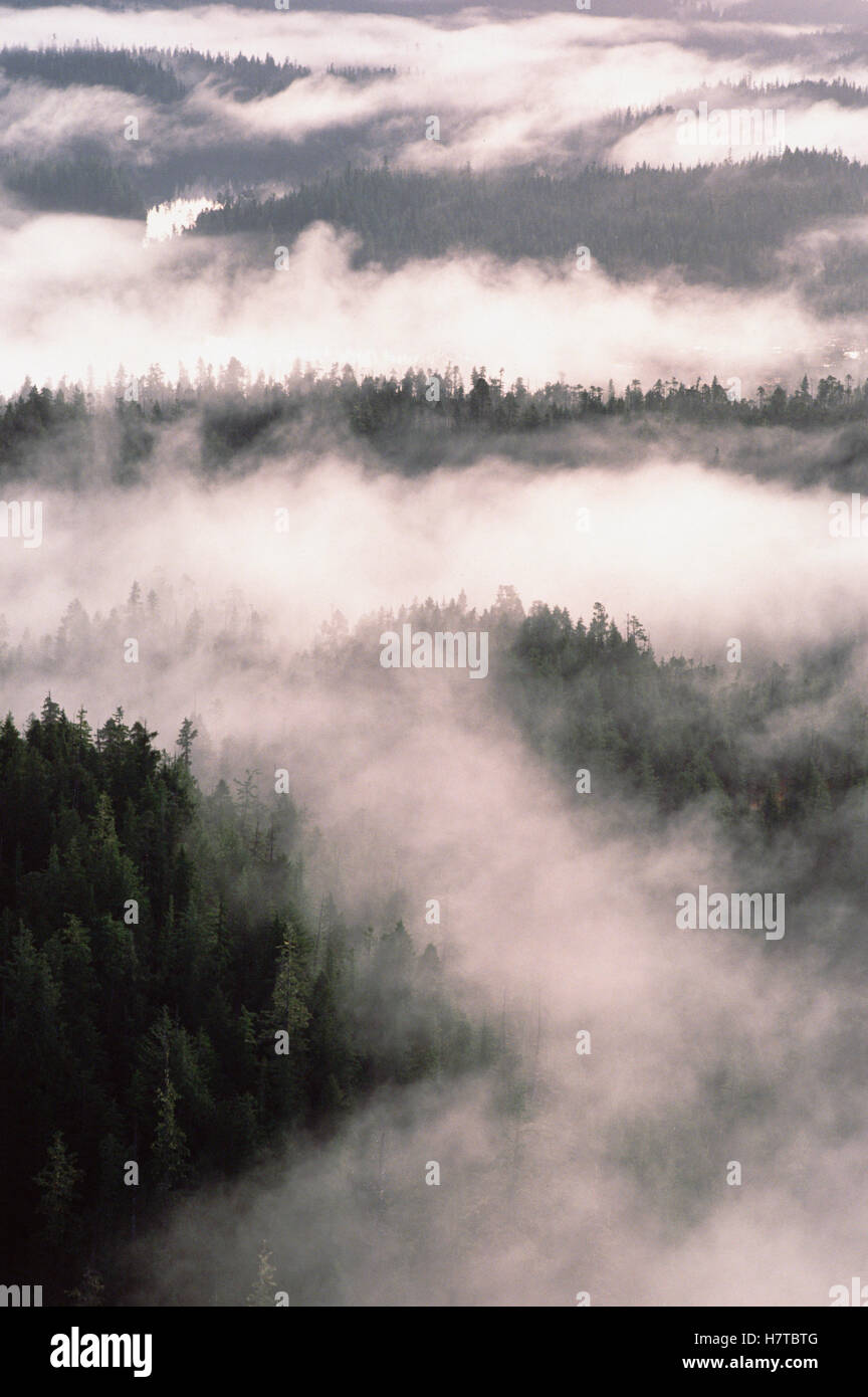 Gokachin Lakes covered in mist, Misty Fjords National Monument ...