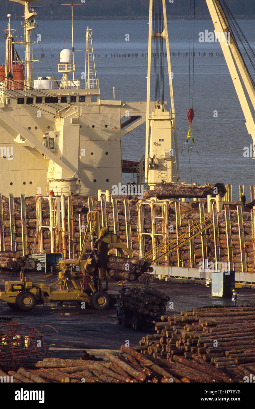 Raw log export to Japan, Port of Astoria, Oregon Stock Photo - Alamy