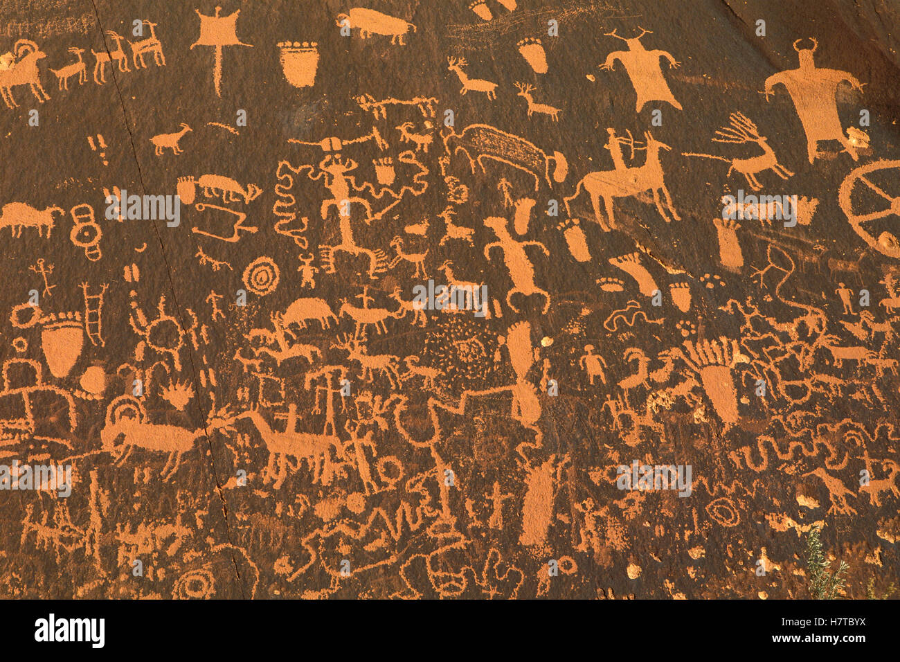 Fremont petroglyphs, Newspaper Rock State Park, Utah Stock Photo - Alamy