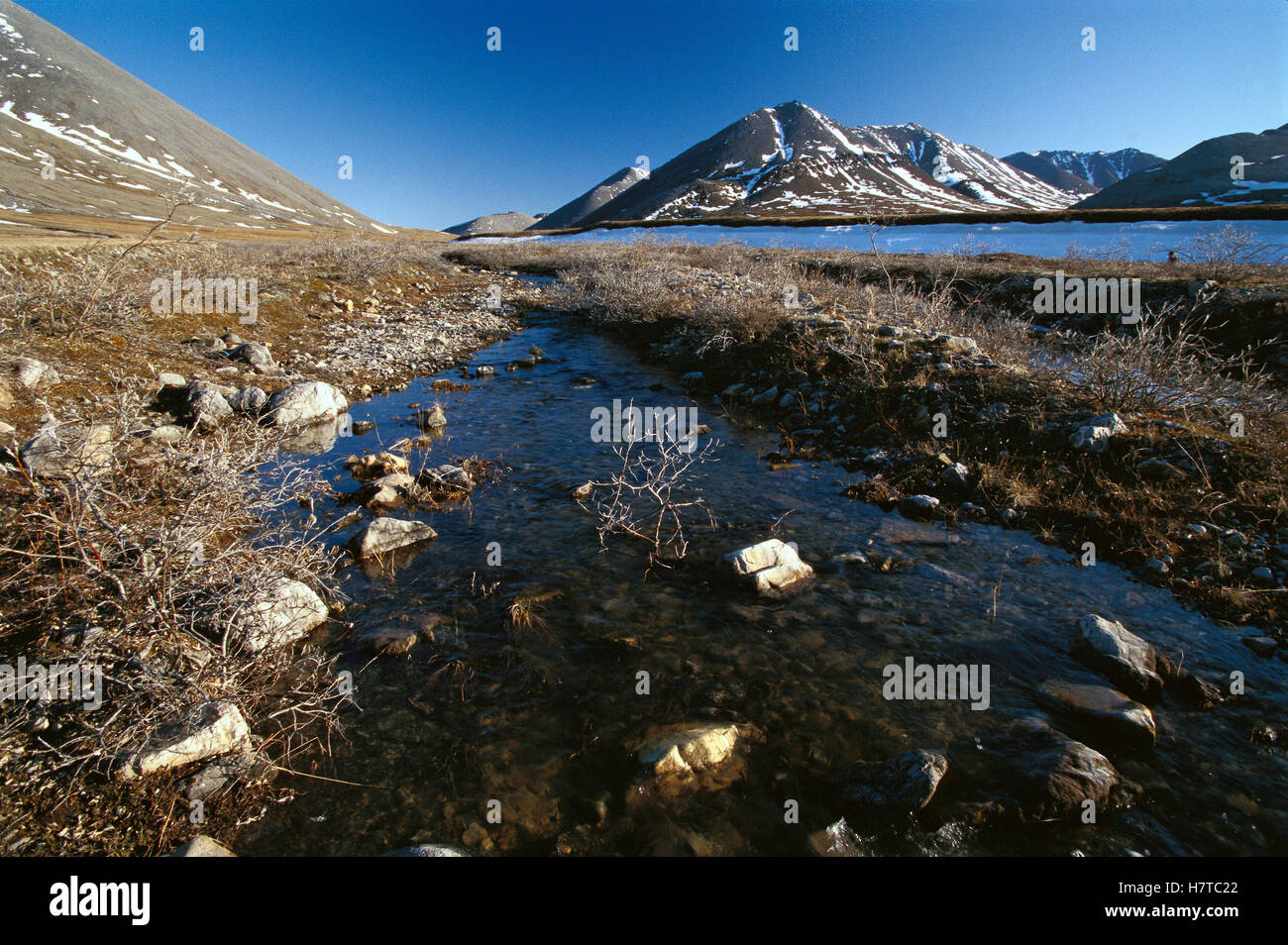 Stream running over tundra, Arctic National Wildlife Refuge, Alaska ...
