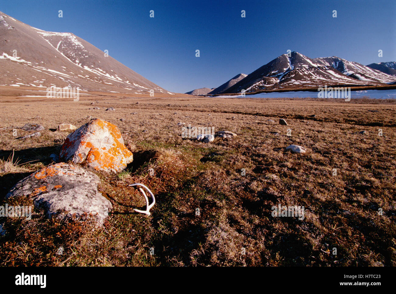 Rocks and peaks on tundra, Arctic National Wildlife Refuge, Alaska ...