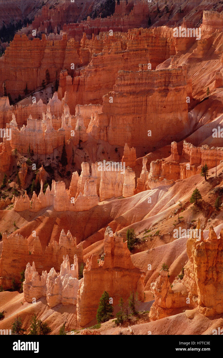 Hoodoo formations from Sunrise Point, Bryce Canyon National Park, Utah ...