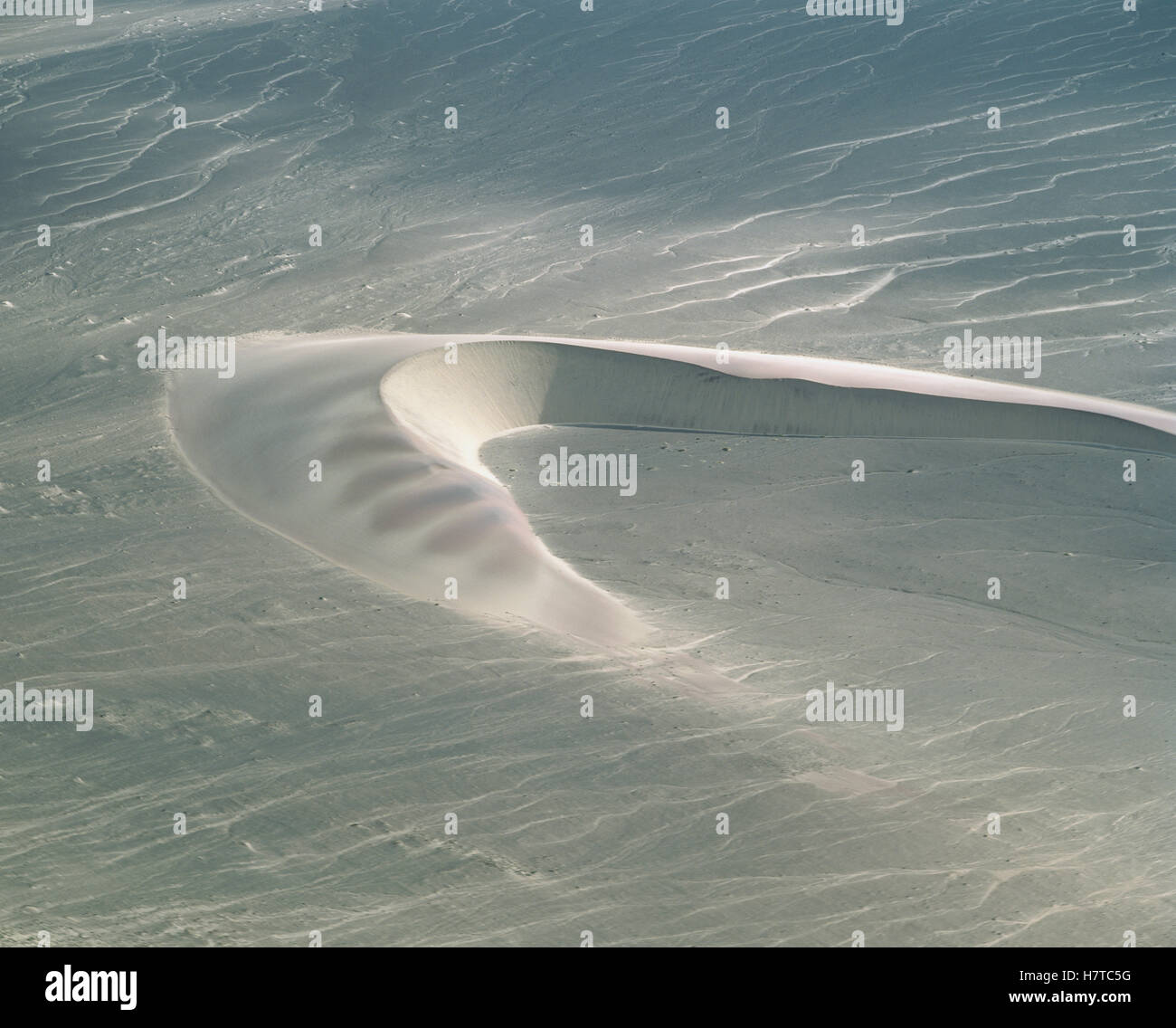 Aerial view of barchan dunes showing typical horns and downwind slip ...