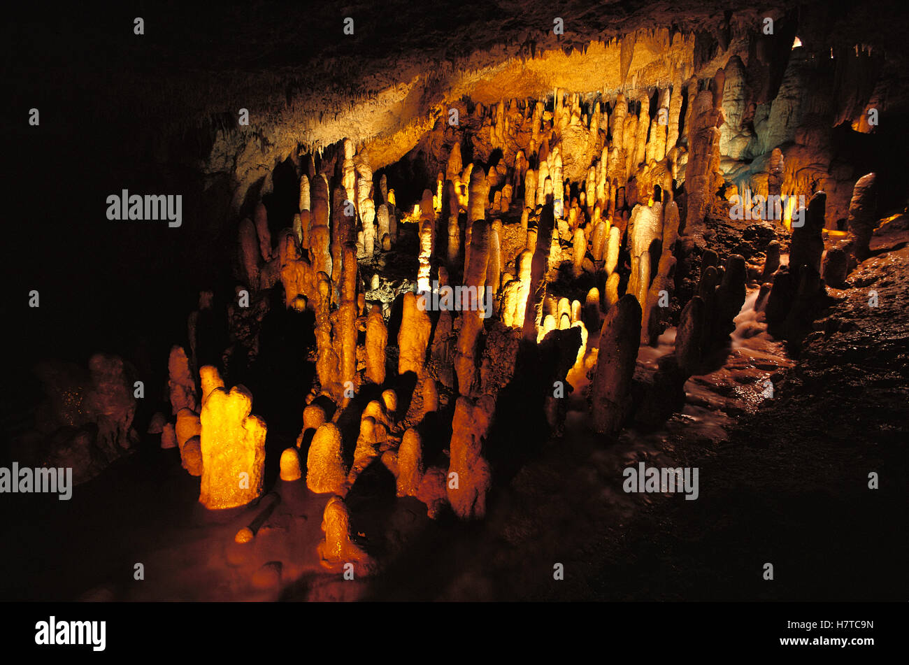 Harrison's Cave showing stalactites and stalagmites, Barbados ...