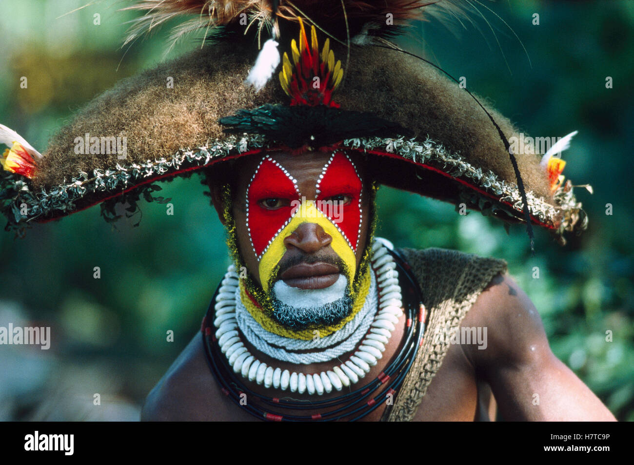 Huli tribesman in traditional costume, Tagali River Valley, Papua New ...