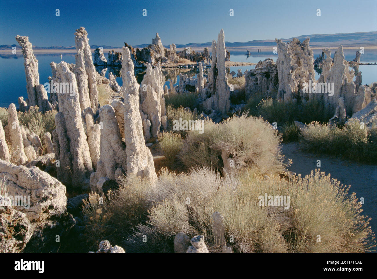 Wind and rain eroded tufa formations along shore of Mono Lake ...