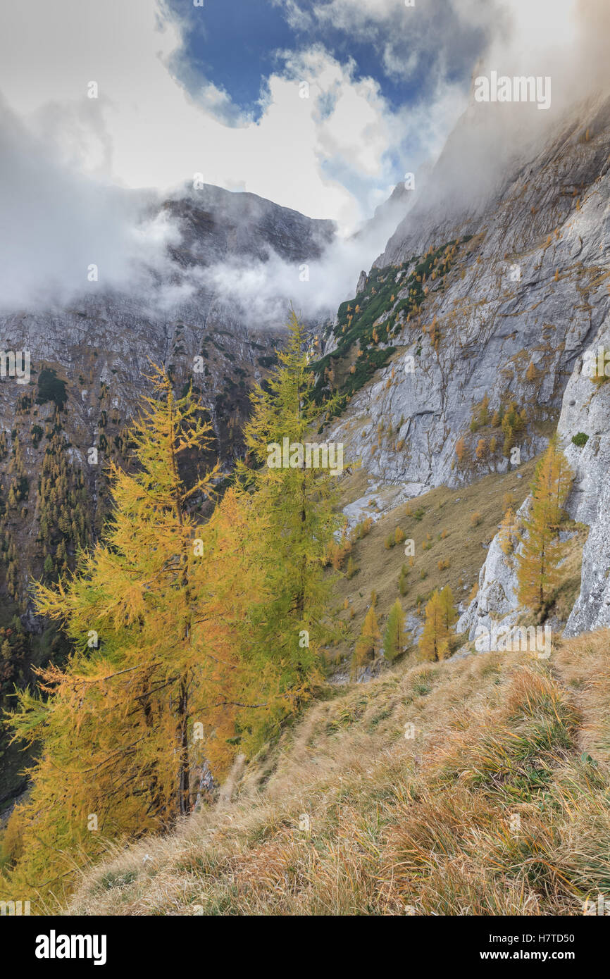 Bucegi Mountains, Romania Stock Photo - Alamy