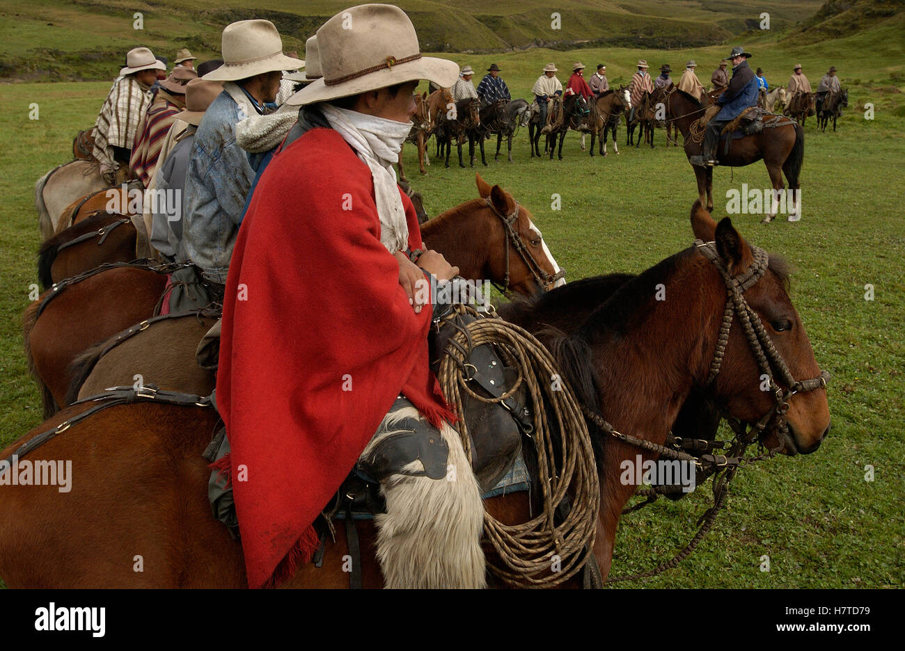 Chagra cowboys lined up at a hacienda in the Andes Mountains for the ...