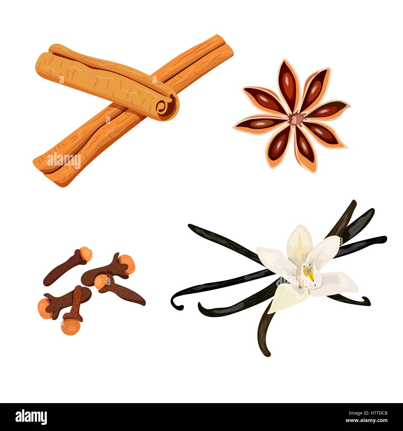 Star anise cloves vanilla Stock Vector Images - Alamy