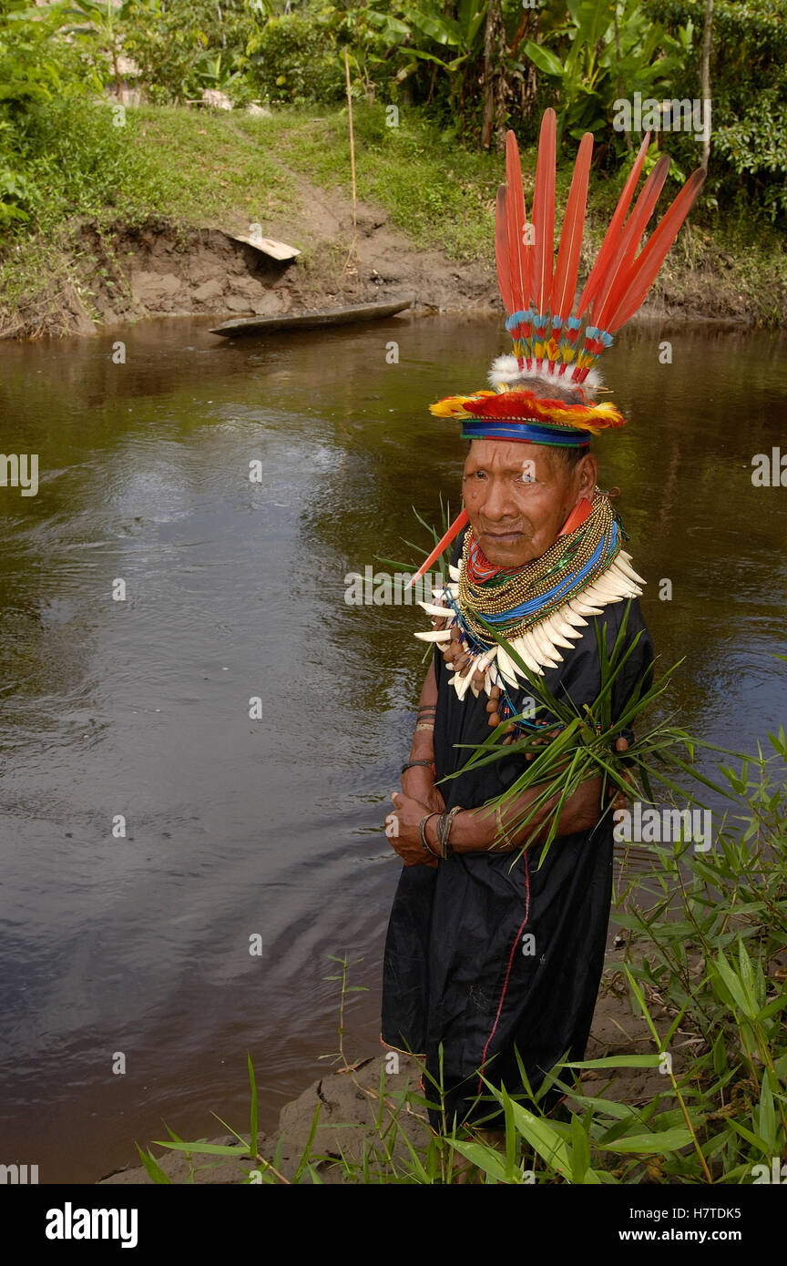 Cofan Indian who first observed Harpy Eagle (Harpia harpyja) nest and ...