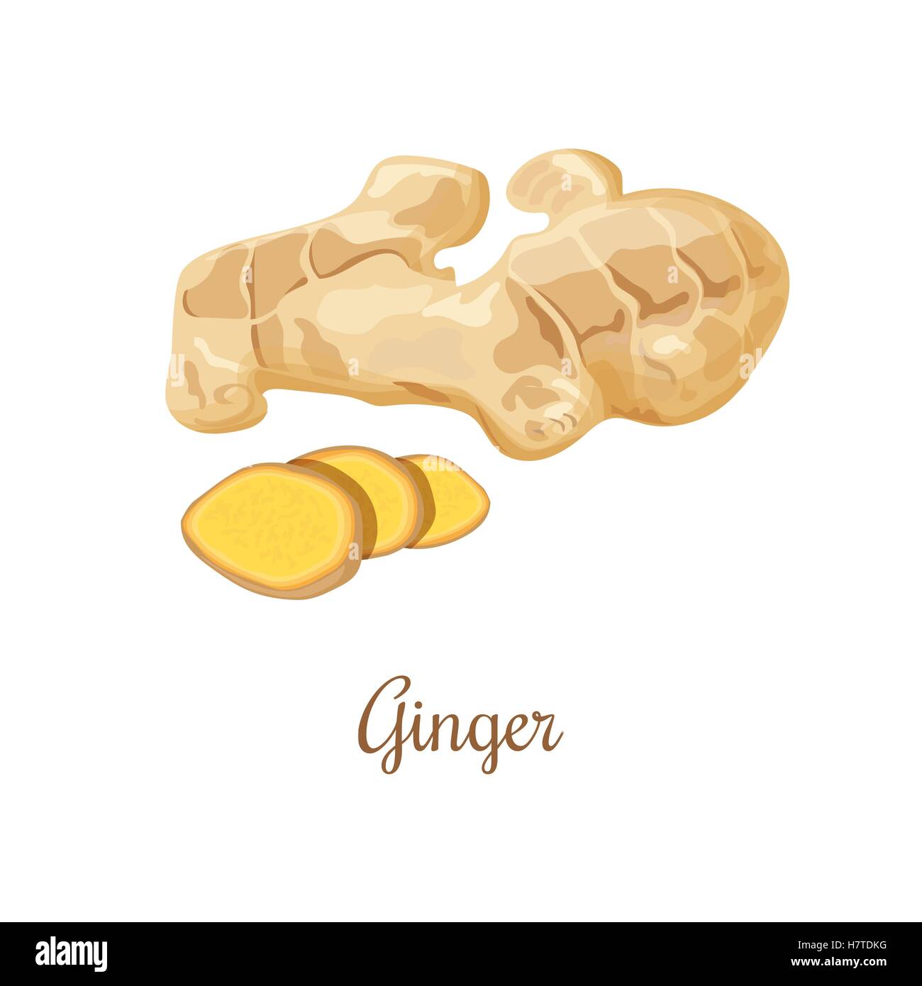 Fresh ginger and slices illustration Stock Vector Image & Art - Alamy