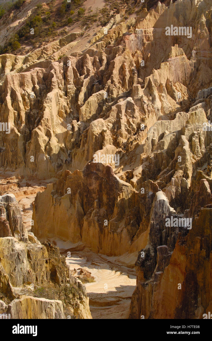 Lavaka or erosion scars, western deciduous forest, Ankarafantsika ...