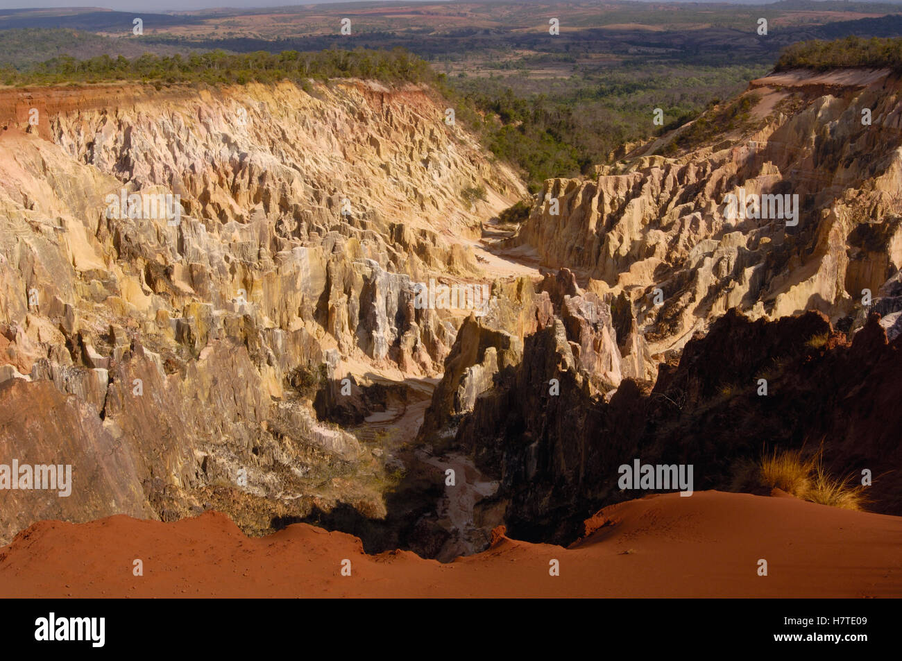 Lavaka or erosion scars, western deciduous forest, Ankarafantsika ...