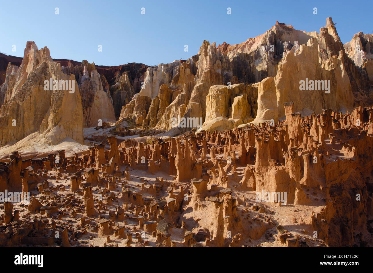 Lavaka or erosion scars, western deciduous forest, Ankarafantsika ...