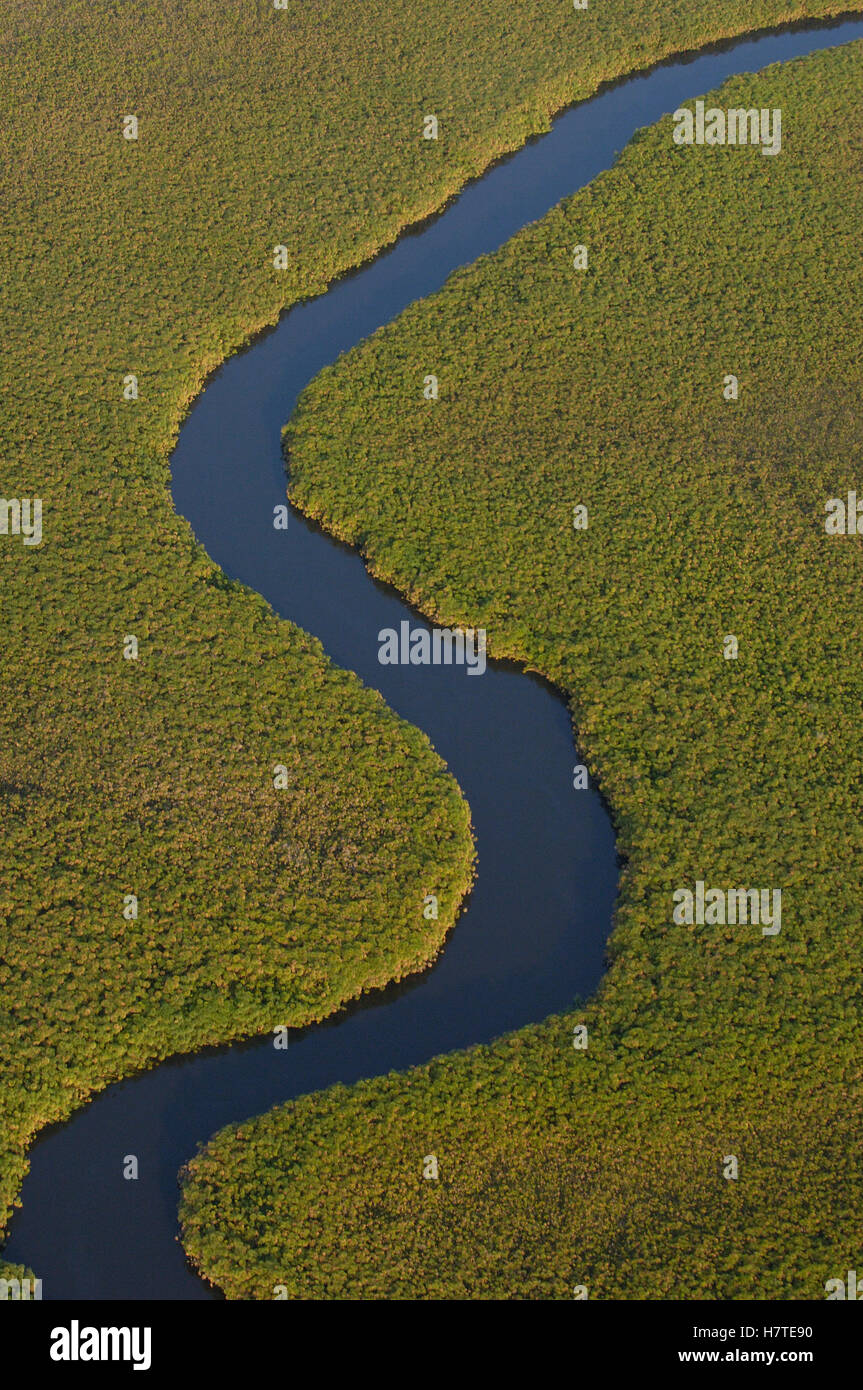 Papyrus (Cuperus papyrus) swamps and channel, aerial view, Africa Stock ...
